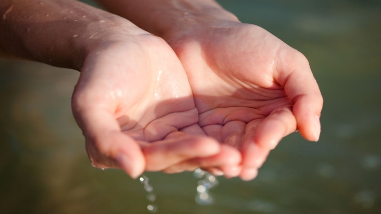 Here Are 10 Tips on Saving Water… and Money - Roobytalk.com