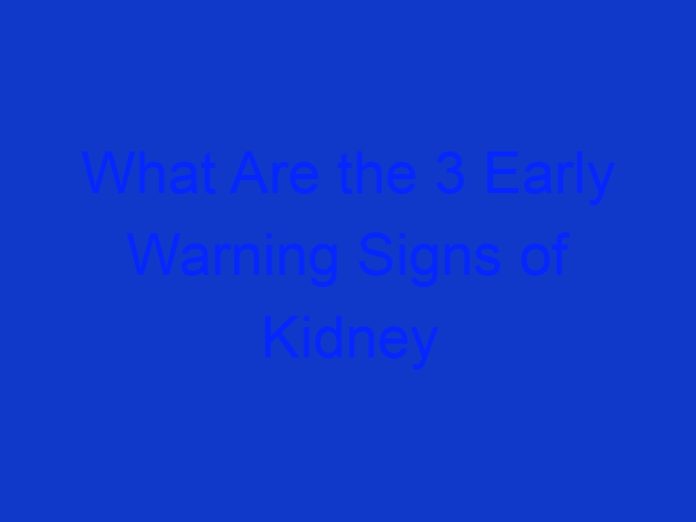 What Are The 3 Early Warning Signs Of Kidney Disease Roobytalk